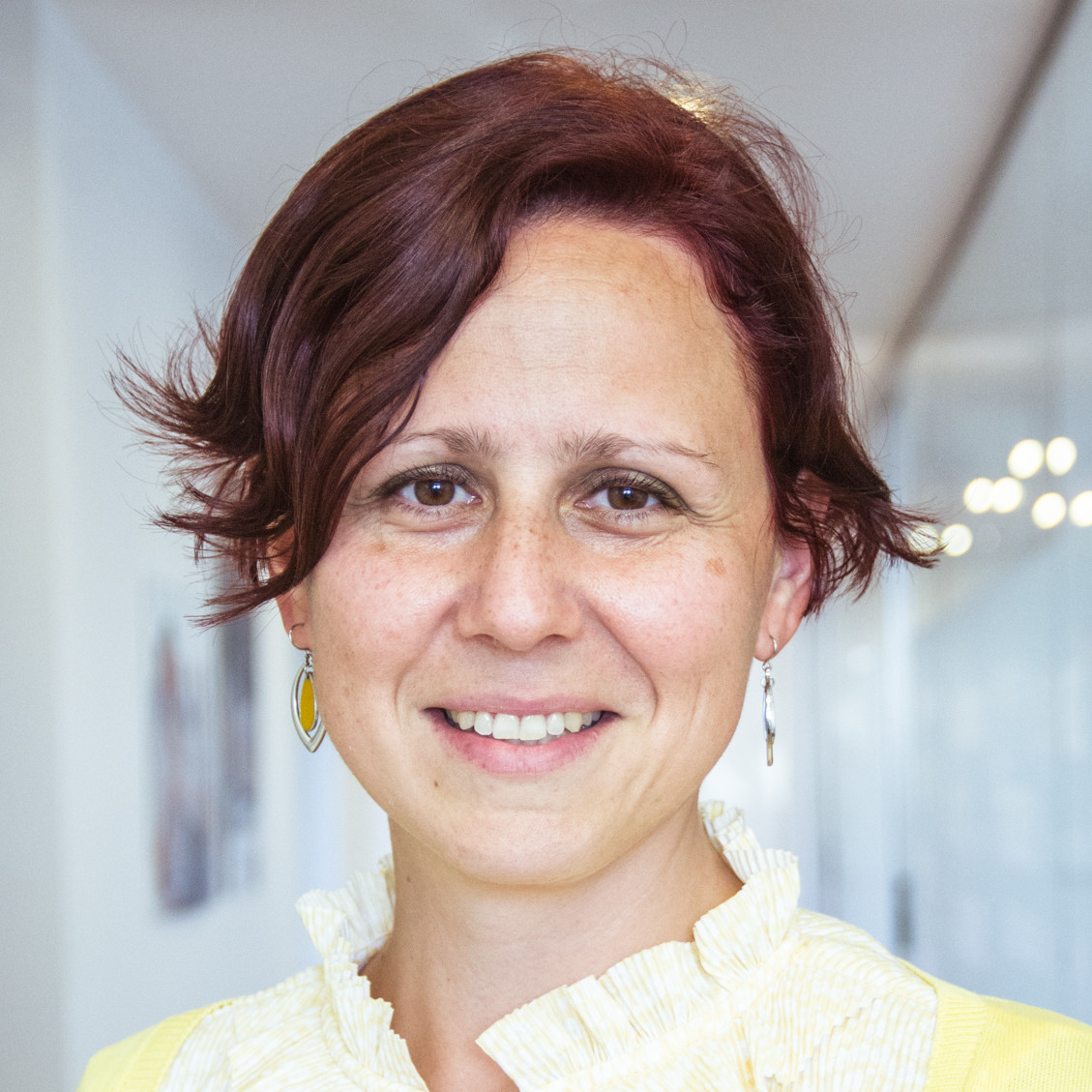 Supporting Accounting and Auditing Developments and Synergies - Center ...